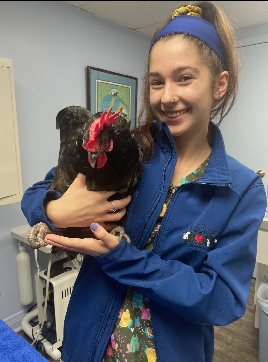 Meet the Team | PetCare Animal Hospital
