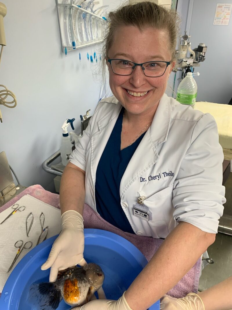 Meet the Team | PetCare Animal Hospital